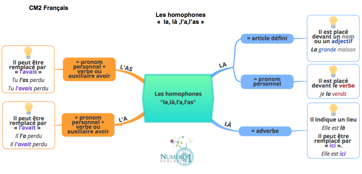 Les homophones « la, là ,l’a,l’as »; leçon et exercices CM2