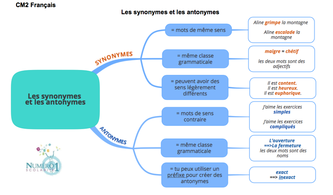 Les synonymes et les antonymes; leçon et exercices CM2