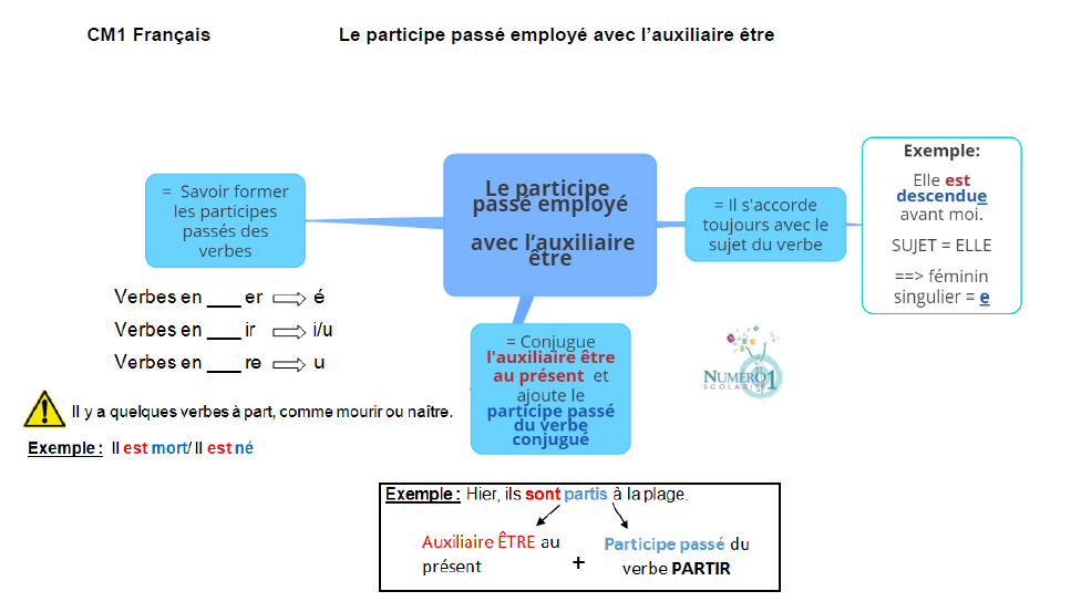 Ressources pédagogiques de français gratuites spécial Dys & TDAH