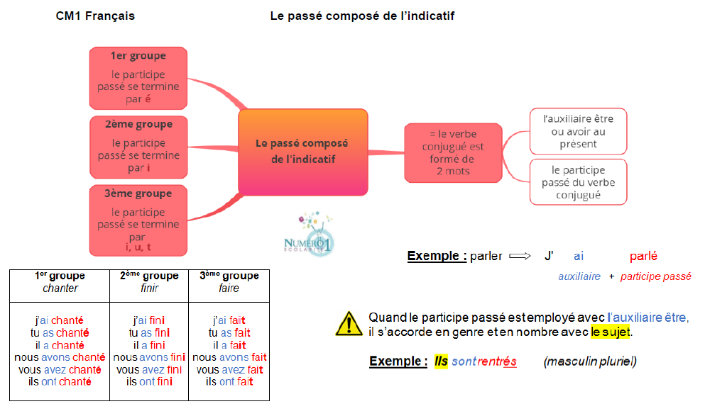 Cours, exercices et leçons de français pour les dys gratuits