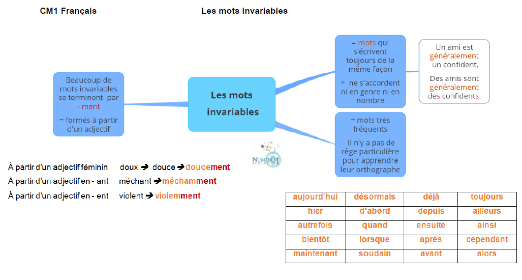 Les mots invariables : leçon et exercices CM1