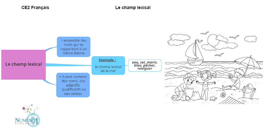Le champ lexical : leçon et exercices CE2