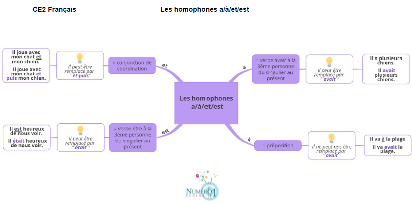 Ressources pédagogiques de français gratuites spécial Dys & TDAH