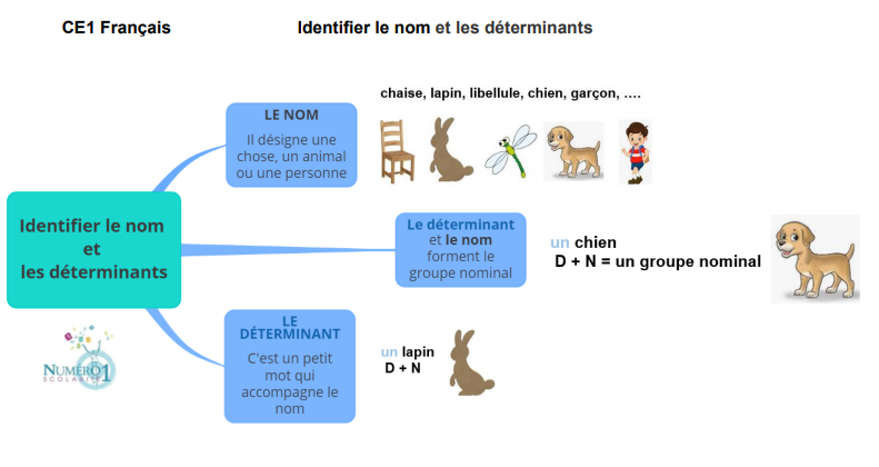 Ressources pédagogiques de français gratuites spécial Dys & TDAH