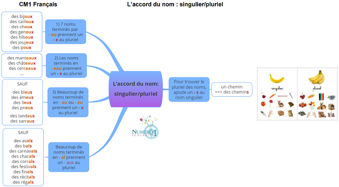 Ressources pédagogiques de français gratuites spécial Dys & TDAH