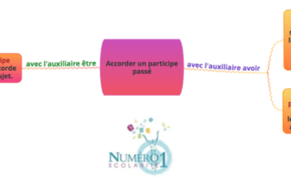 Cours, cartes mentales, exercices et leçons Français 4ème gratuits ...