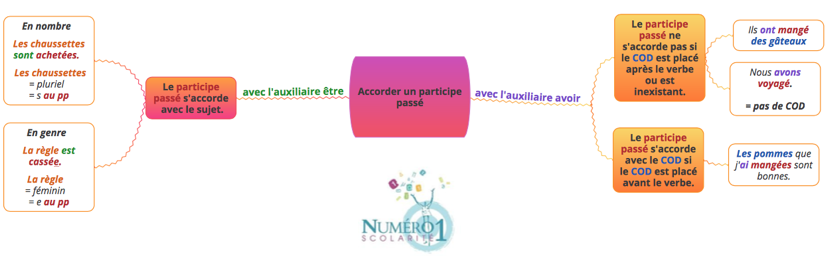 Accorder un participe passé 4ème Leçon et exercices