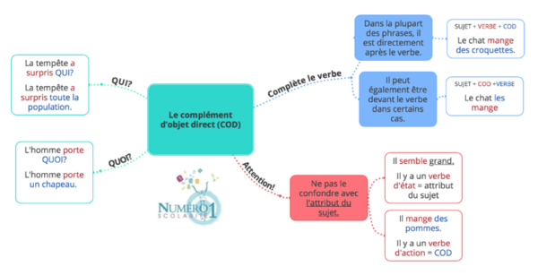La fonction complément d'objet direct COD 6ème leçon et exercices