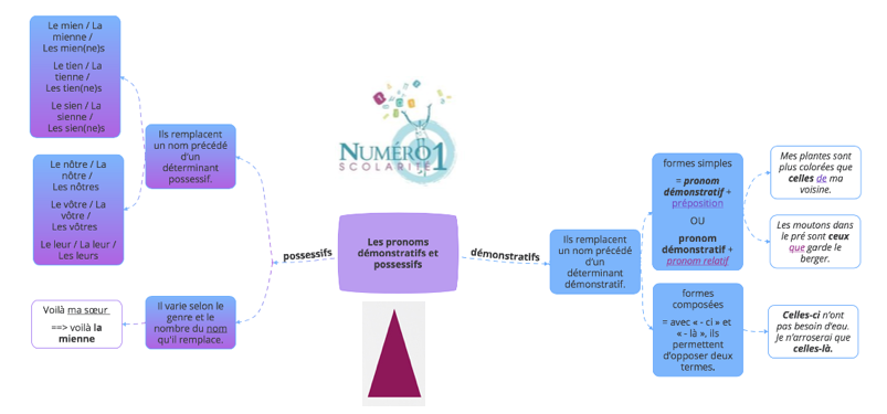 6ème Leçon et exercices : les pronoms démonstratifs et possessifs.