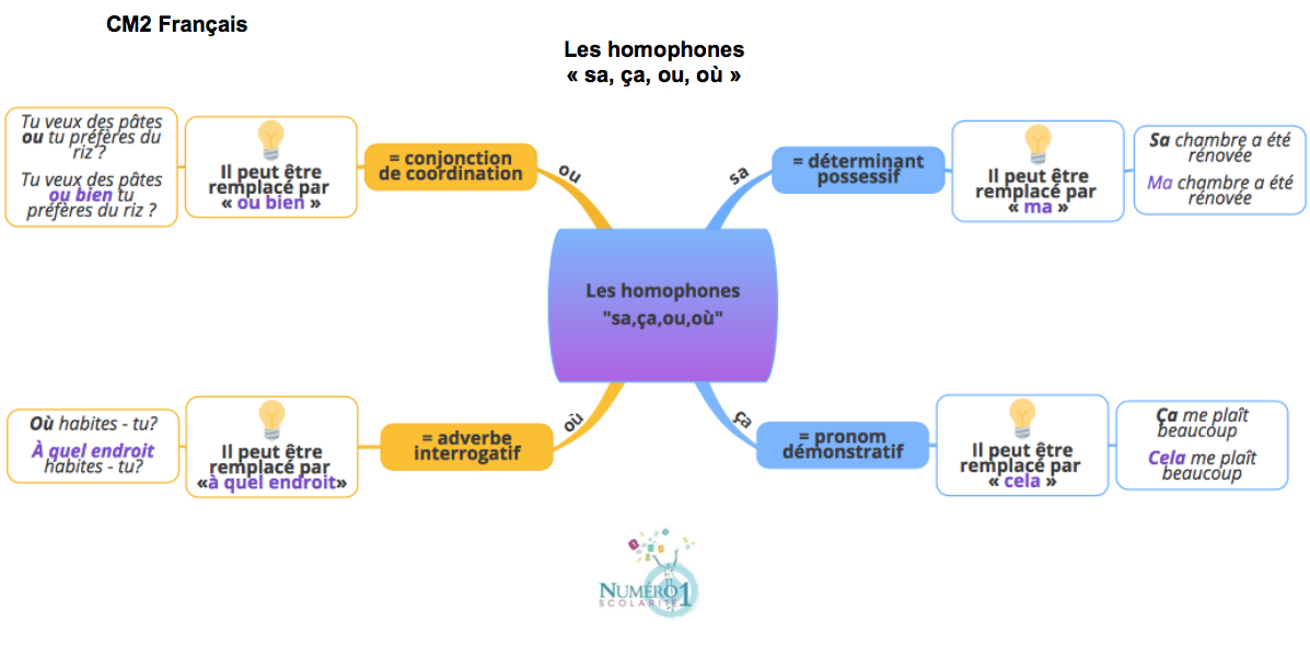 Gratuit en PDF ; Tout le programme de Français CM2 spécial Dys
