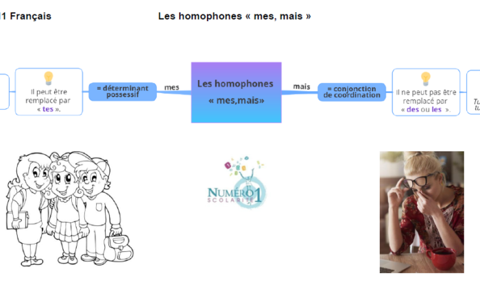 Français CM1 : cours gratuits, cartes mentales et exercices à ...