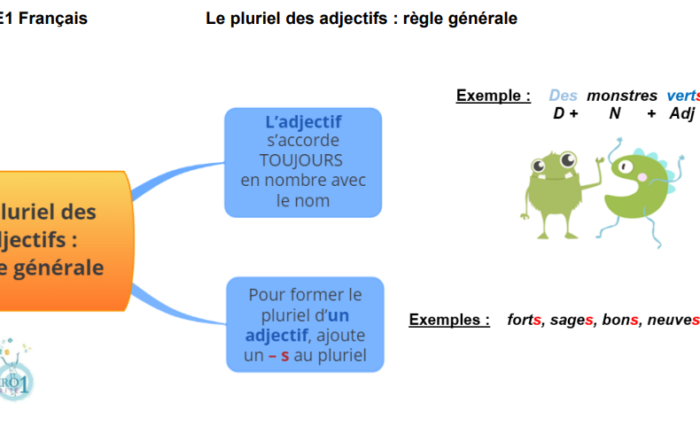 Cours, exercices et leçons de français pour les dys gratuits