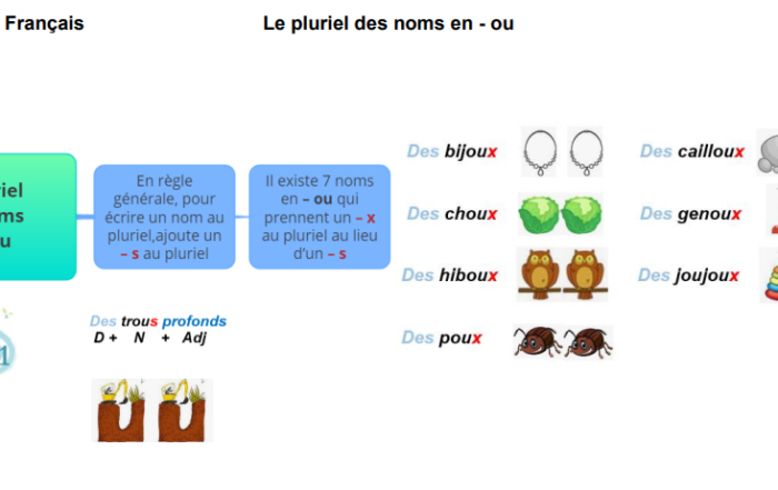 Ressources pédagogiques de français gratuites spécial Dys & TDAH