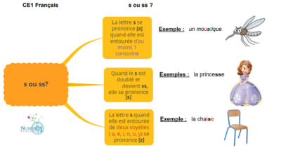 s ou ss? : leçon et exercices CE1
