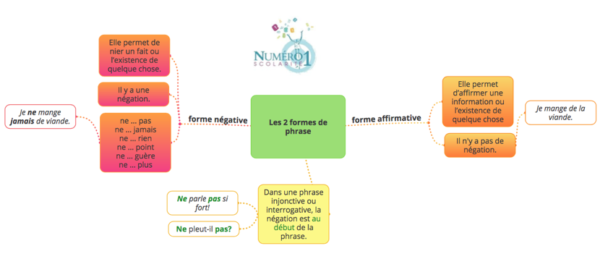 Distinguer phrase affirmative et négative 6ème leçon et exercices