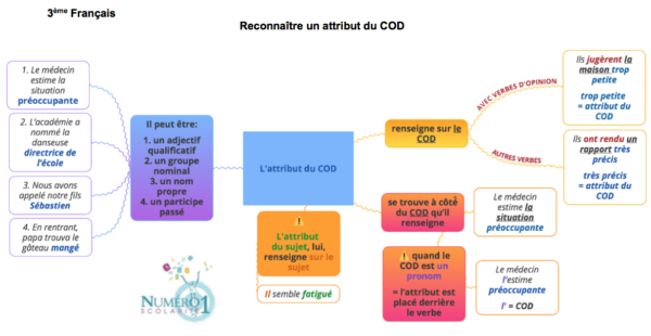 Reconnaître un attribut du COD : leçon et exercices 3ème