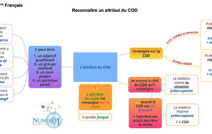 Exercices , cartes mentales leçons français 3ème gratuits spécial Dys