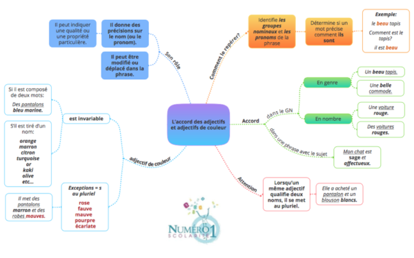 L'accord des adjectifs et adjectifs de couleur leçon et exercices 4ième