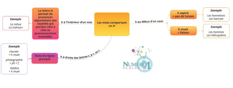 Comment écrire les mots comportant un H