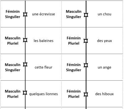 Dominos des accords : genre et nombre des noms