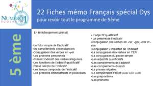 Exercices et leçons français 5ème pour les dys à télécharger