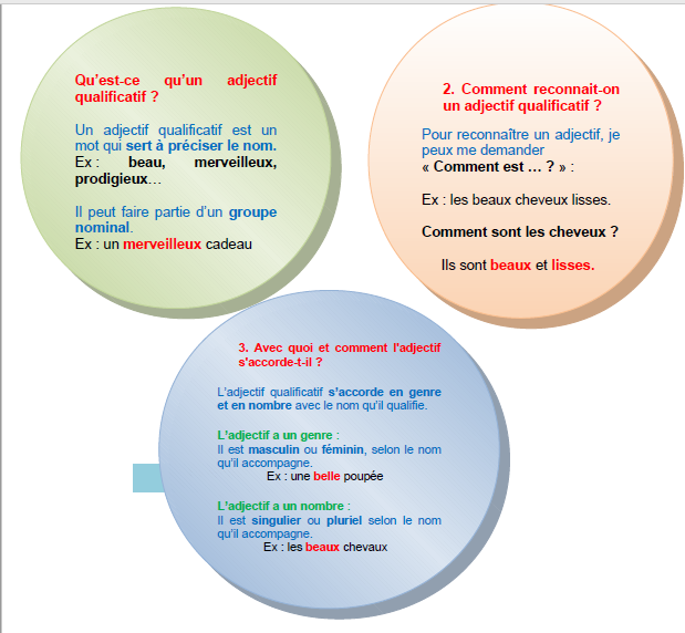 L'adjectif qualificatif définition et accord : leçon et exercices CE2