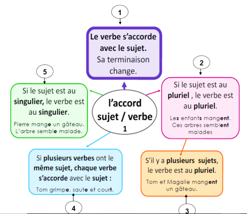 L'accord sujet verbe : leçon et exercices CE2