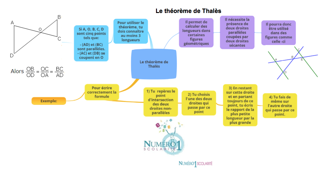Le théorème de Thalès; leçon et exercices 3ème