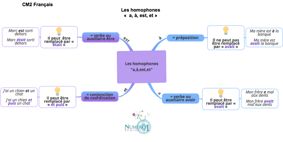 Les homophones "a,à,est,et"; leçon et exercices CM2