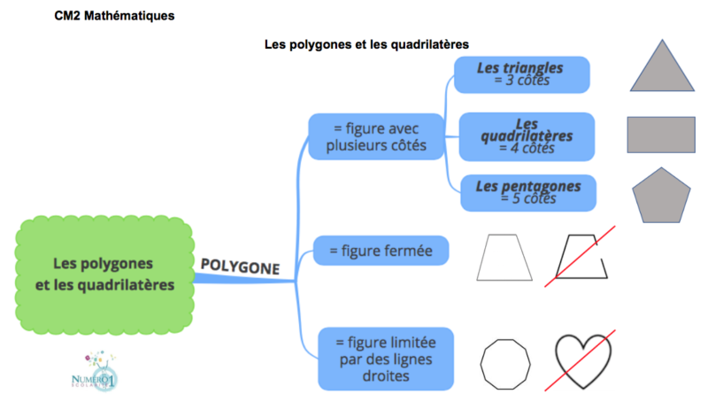Les polygones et les quadrilatères; leçon et exercices CM2