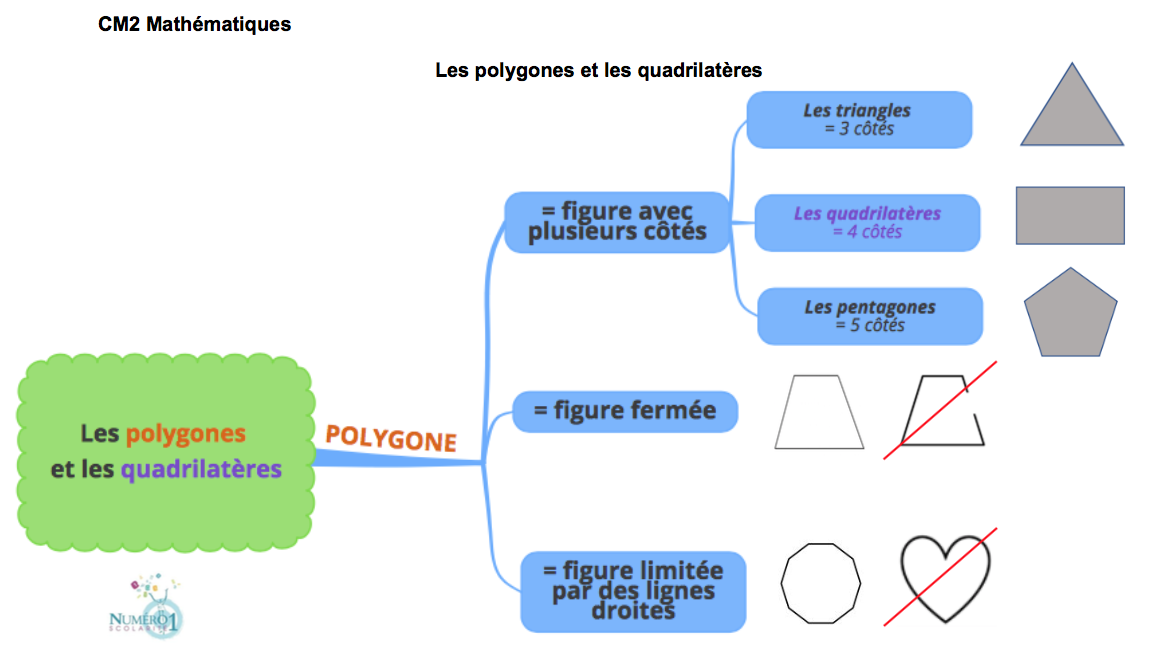Les polygones et les quadrilatères; leçon et exercices CM2
