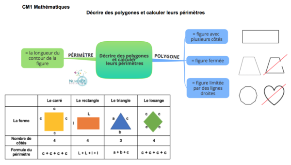 Décrire des polygones et calculer leur périmètre; leçon et exercices CM1