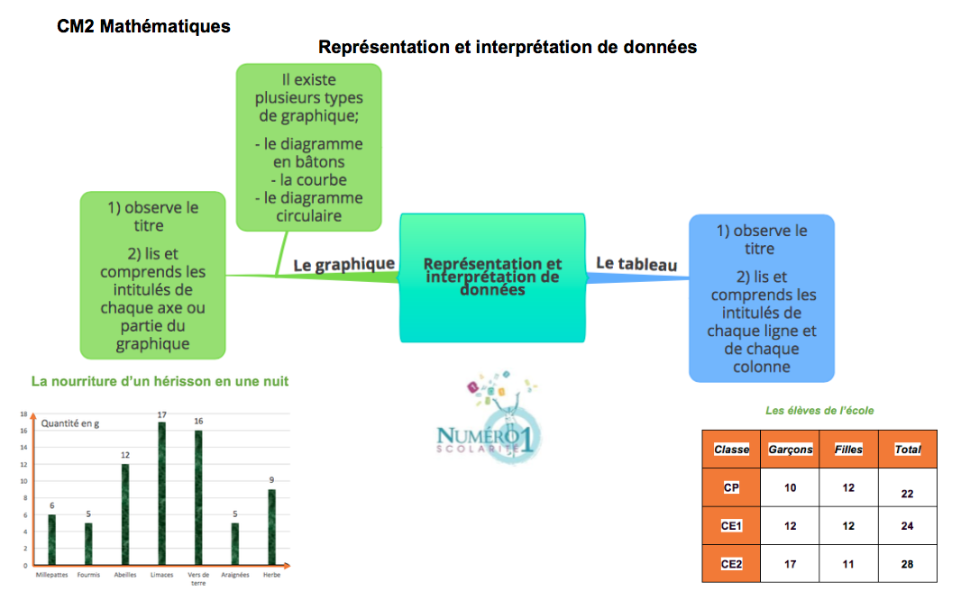 Représentation et interprétation de données; leçon et exercices CM2