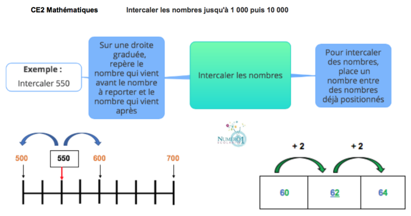 Intercaler les nombres jusqu'à 1 000 puis 10 000; leçon et exercices CE2