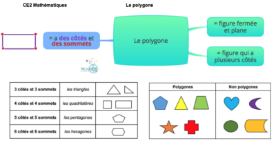 Polygone. Leçon et exercices CE2