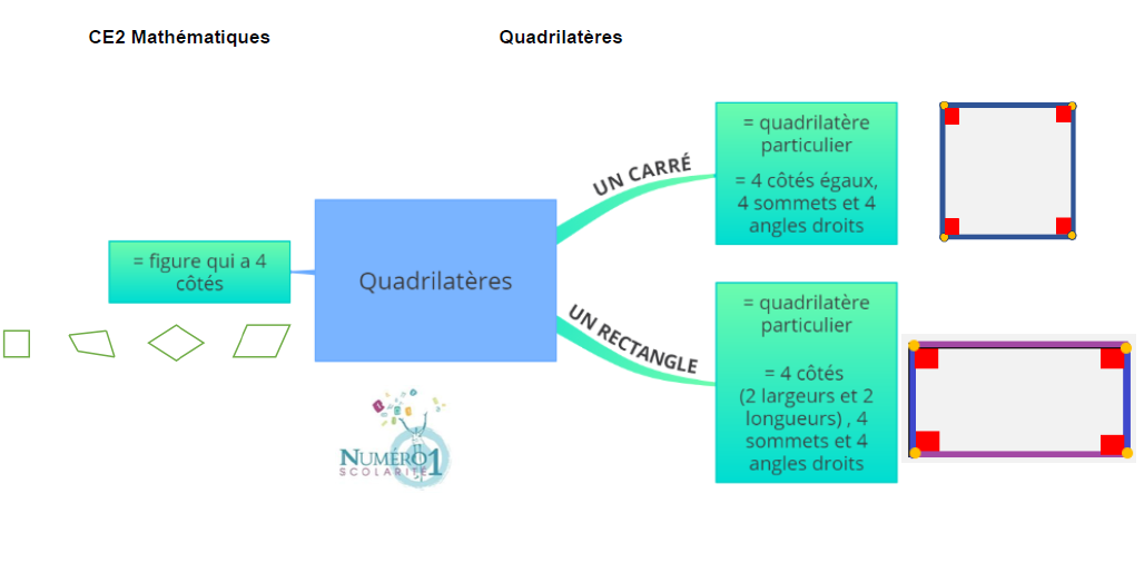 Quadrilatères ; leçon et exercices CE2