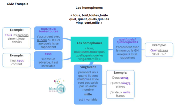 Les homophones « tous,tout,toutes,toute,quel,quelle,quels,quelles, ving ...