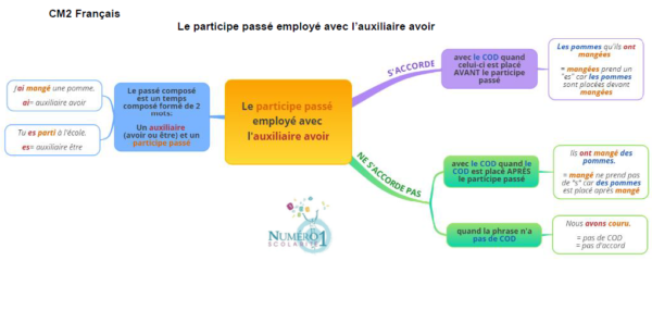 Le participe passé employé avec l'auxiliaire avoir; leçon et exercices CM2
