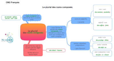 Le pluriel des noms composés; leçon et exercices CM2