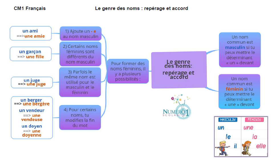 Le Genre Des Noms Rep rage Et Accord Le on Et Exercices CM1 Le Genre Des Noms Rep rage Et Accord Le on Et Exercices CM1