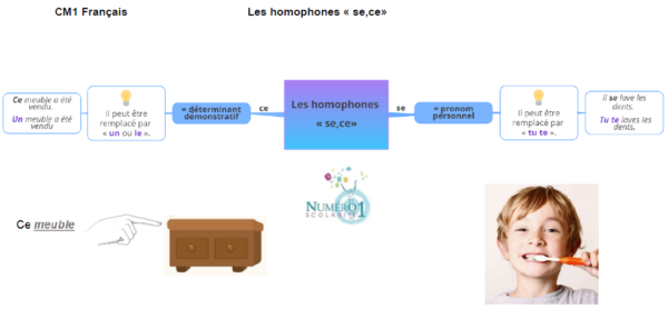 Les homophones « se, ce » : leçon et exercices CM1