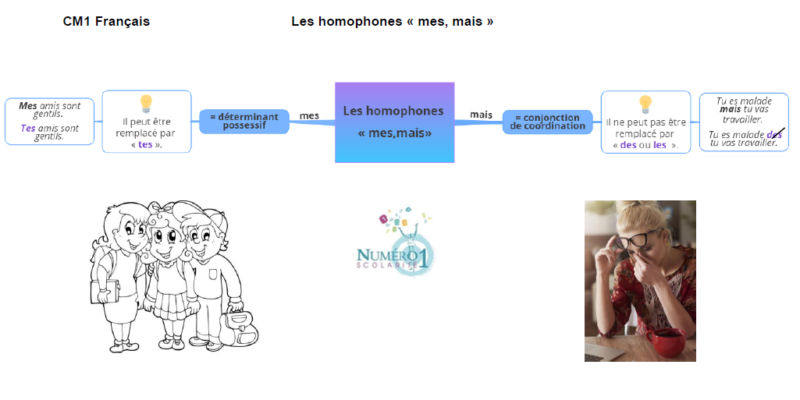 Les homophones « mes, mais » : leçon et exercices CM1