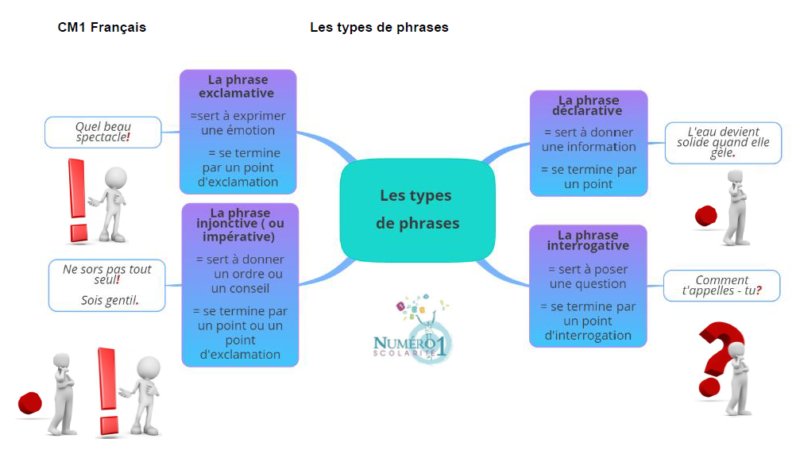 Les types de phrases : leçon et exercices CM1