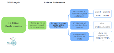 La lettre muette finale : leçon et exercices CE2