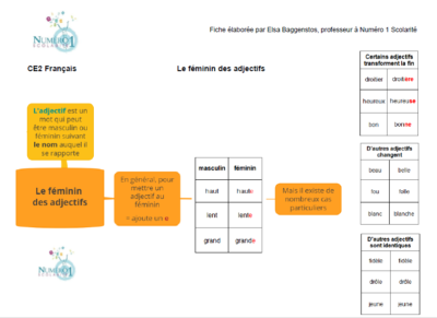 Le féminin des adjectifs : leçon et exercices CE2