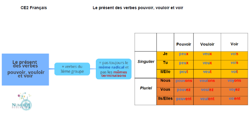 Le présent des verbes pouvoir, vouloir et voir : leçon et exercices CE2