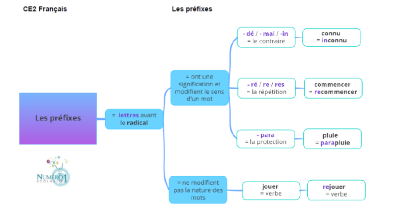 Les préfixes: leçon et exercices CE2