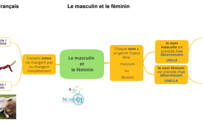 Français CE1 : cours, cartes mentales, exercices gratuits pour Dys Archives