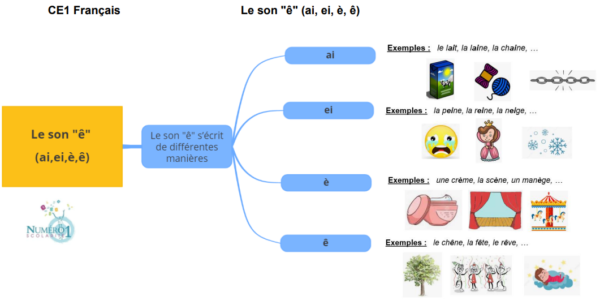 Le son "ê" (ai,ei,è,ê) : leçon et exercices CE1