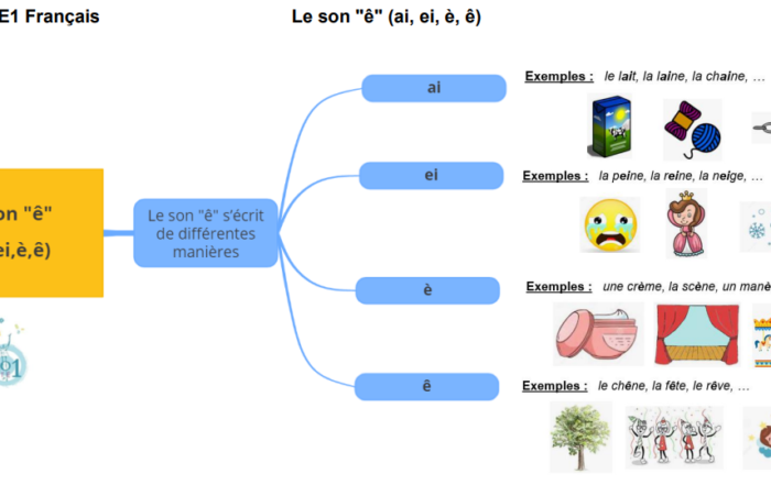 Français CE1 : cours, cartes mentales, exercices gratuits pour Dys Archives